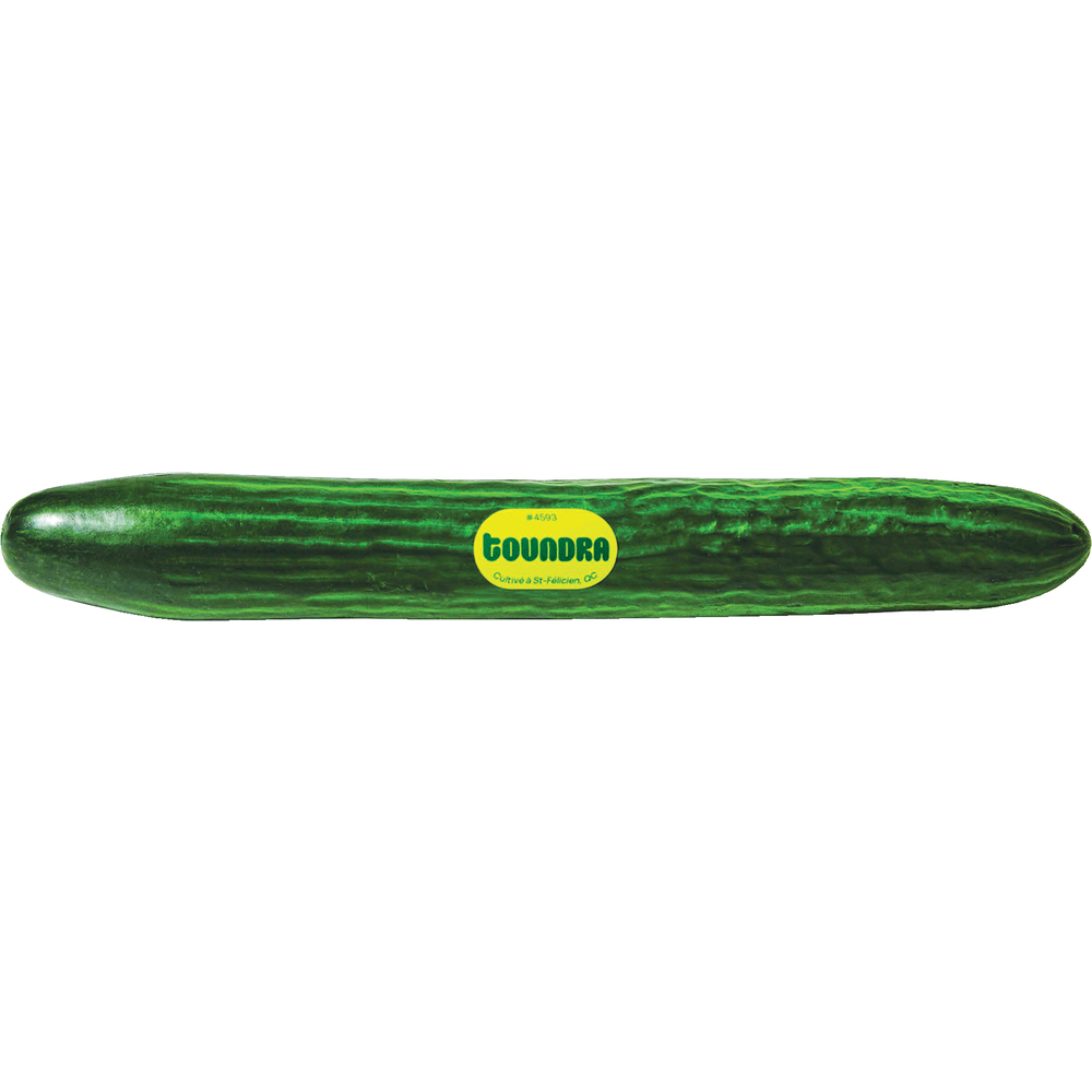 English HH Seedless Cucumbers