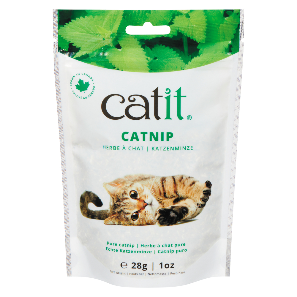 28.3G Catnip Bag