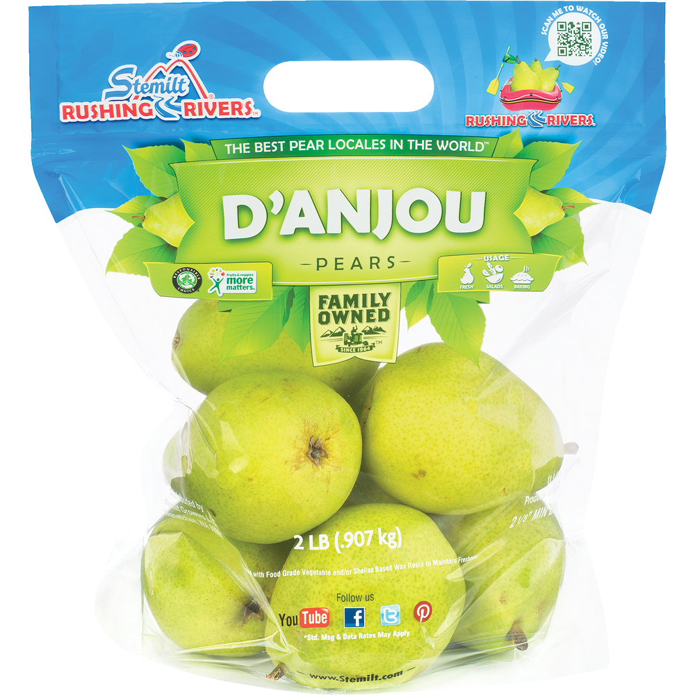 Anjou Pear