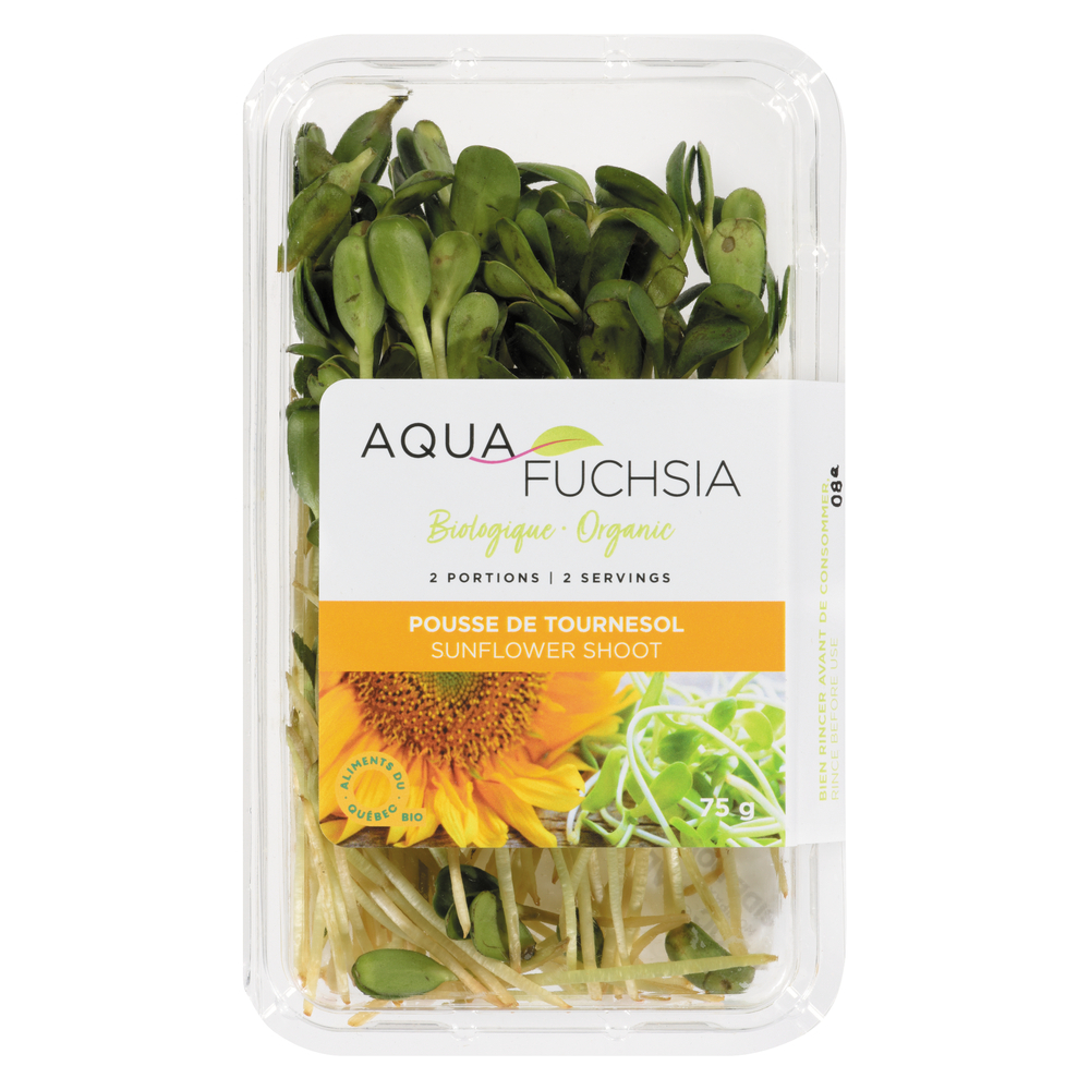 Organic Sunflower Grows