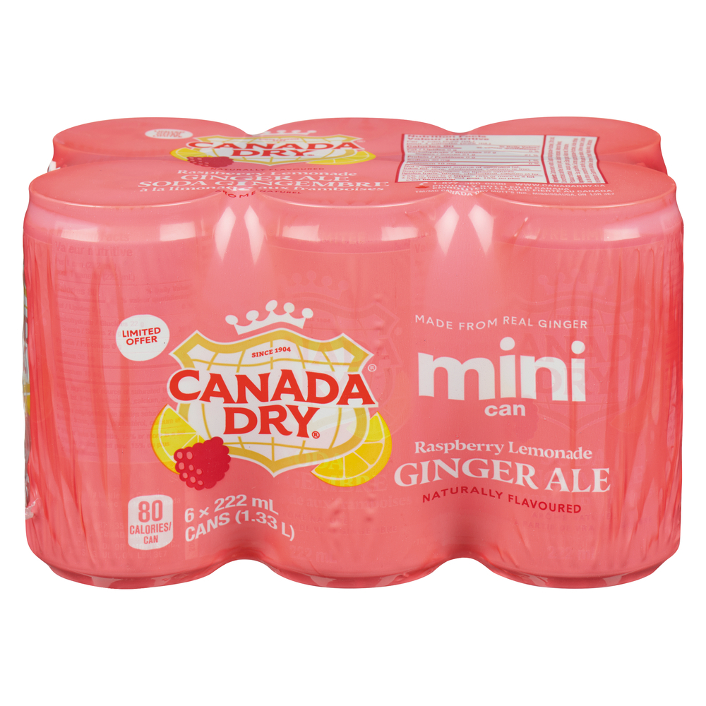 Ginger Ale Raspberry Lemonade Soft Drink