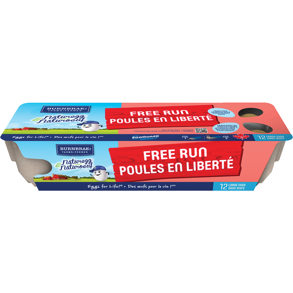 Large Free Run Eggs