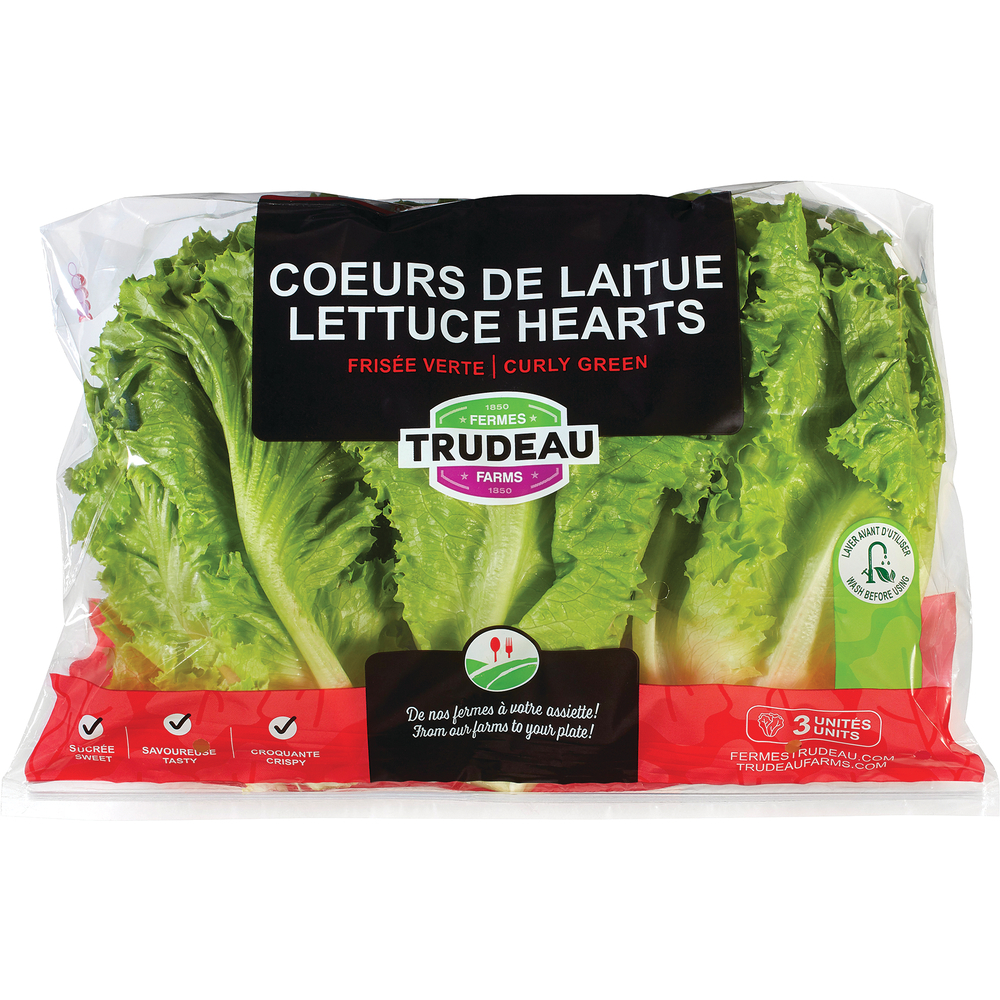 Green Curly Bag 3 Pack Heart Lettuce