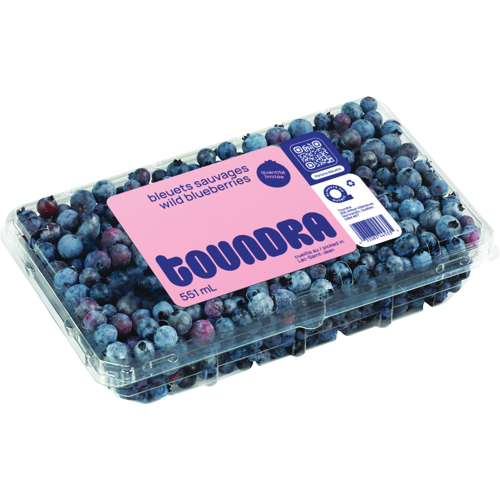 Wild Pint Blueberries