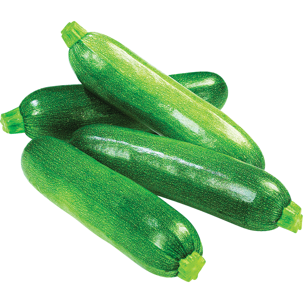 Zucchini vert biologique