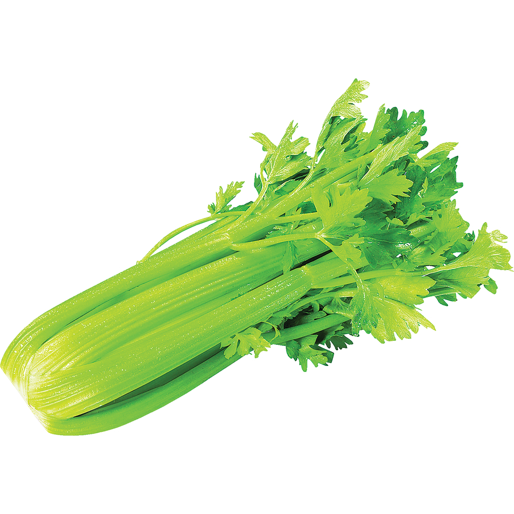 Céleri