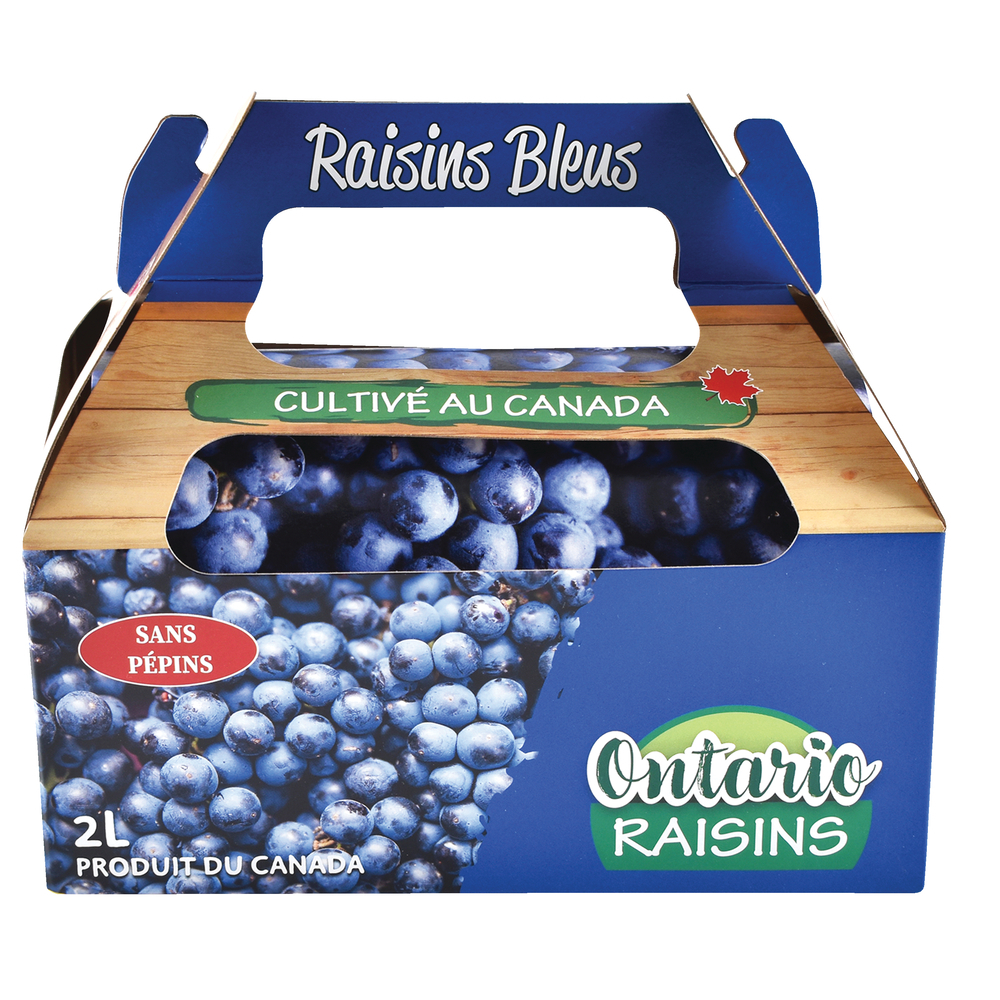 Raisins bleus