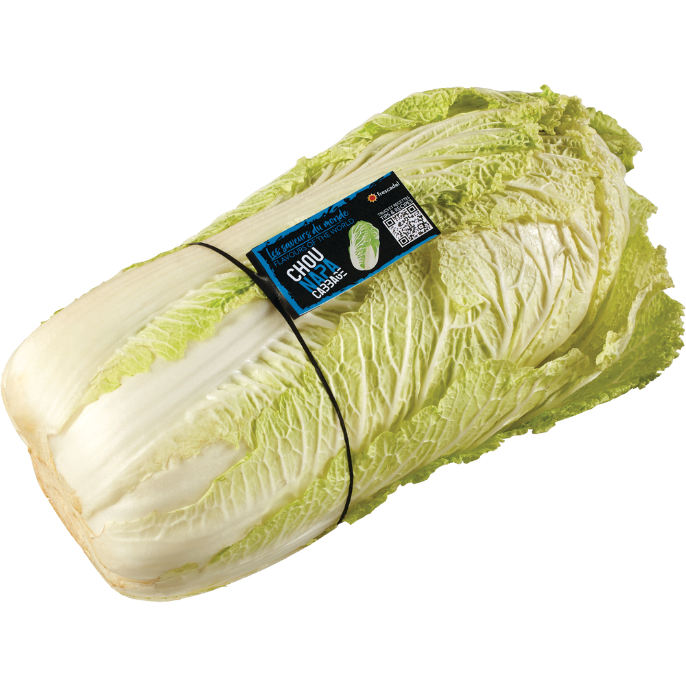 Chou chinois nappa