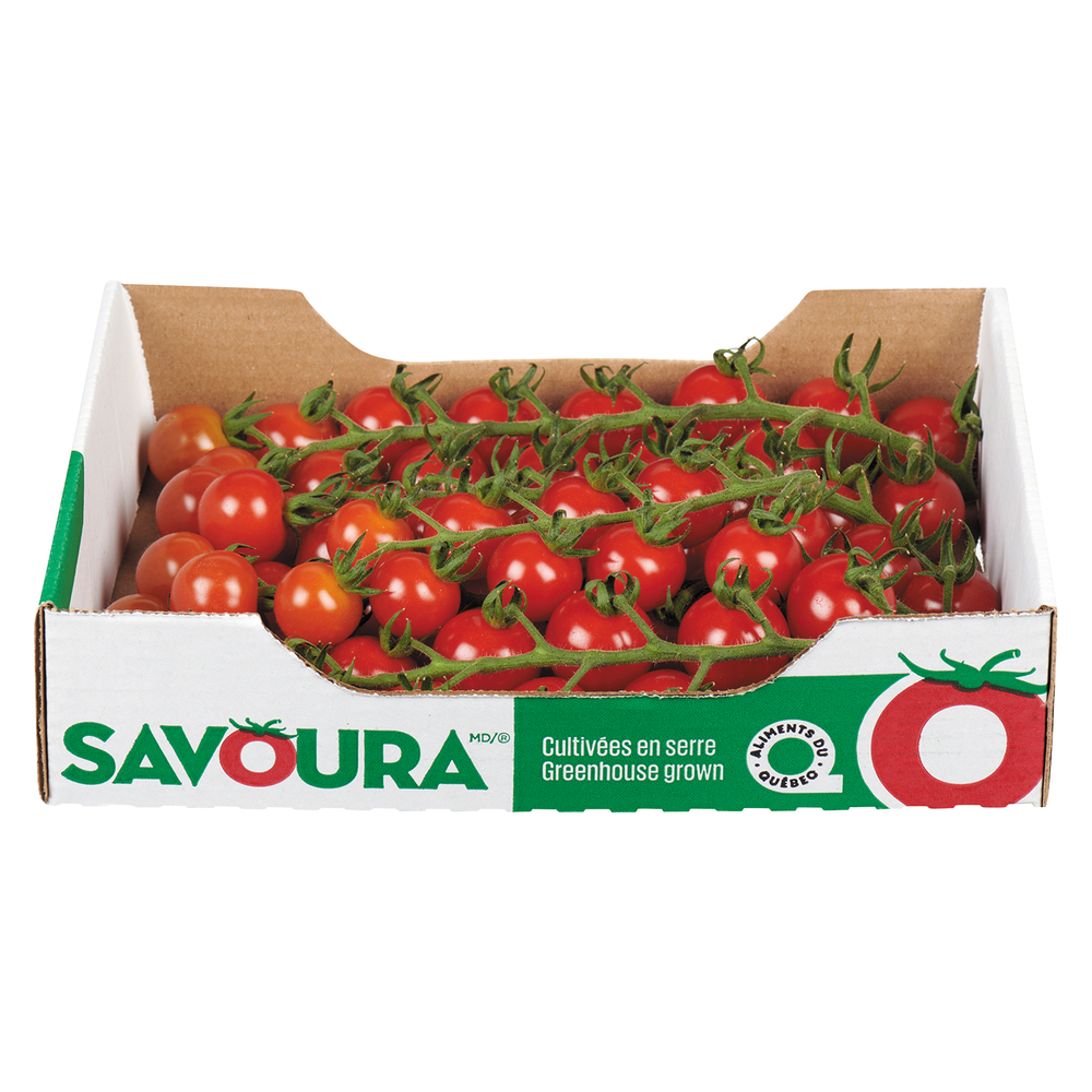 Tomates Cerizo