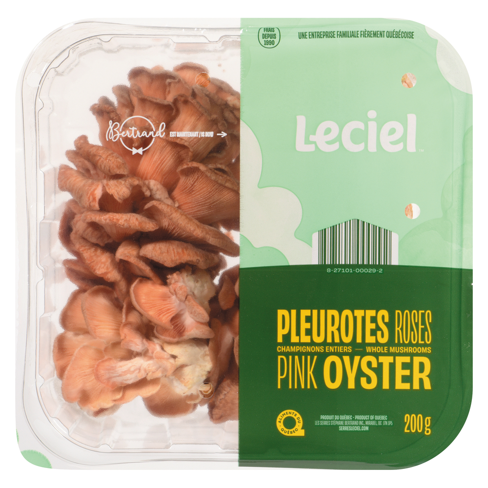 Champignons pleurote rose